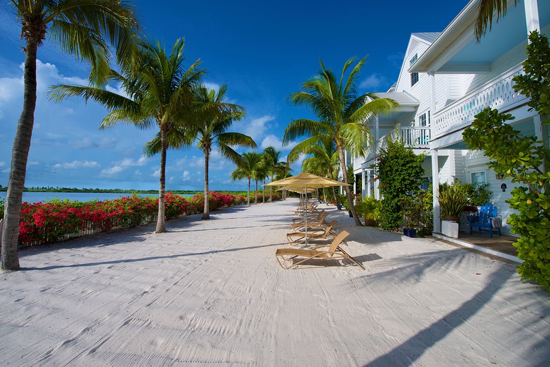 Parrot Key - Bespoke Concepts